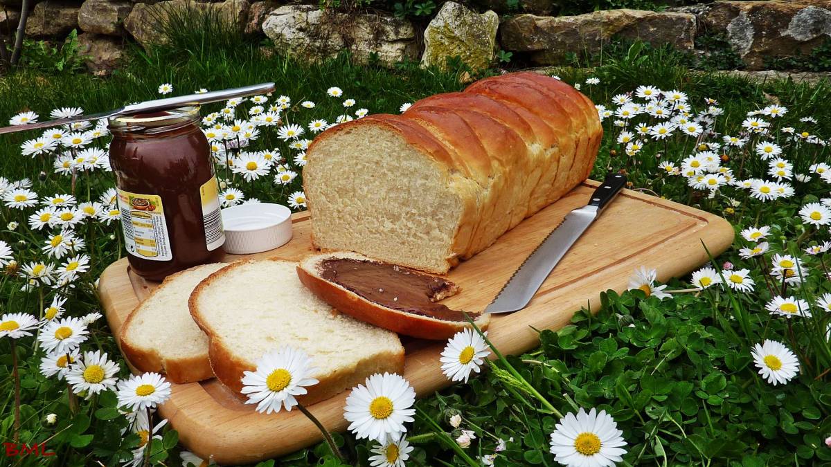 Sandwichbrot-ein softer Genuss | Backen mit Leidenschaft