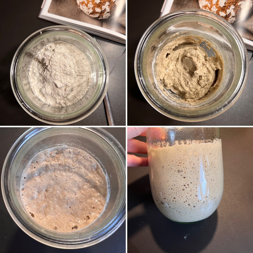 Reines Roggenbrot…mit Sauerteig und Hefe ( inklusive Rezension “ Backen ...