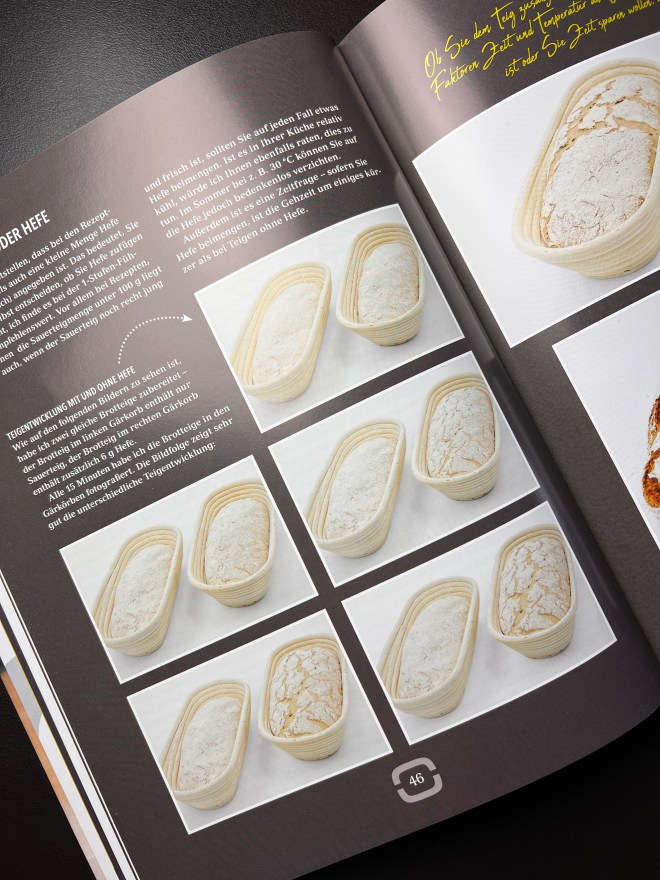 Reines Roggenbrot…mit Sauerteig und Hefe ( inklusive Rezension “ Backen ...