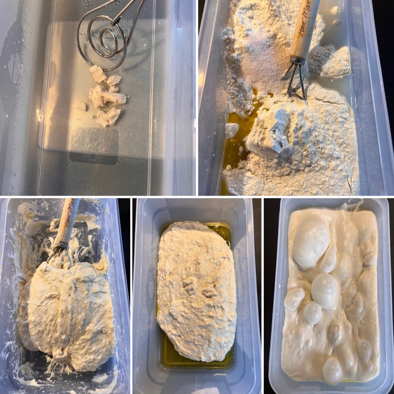 No-Knead-Allrounder-Teig…das Universalrezept ohne kneten mit ...